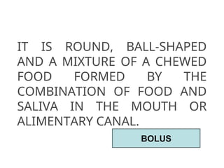 CIRCULATORY SYSTEM GAMIFICATION OF A QUIZ | PPT