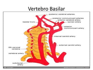 Circulation in brief | PPTX