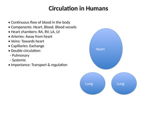 Circulation_in_Humans (1).pptx.......... | PPTX