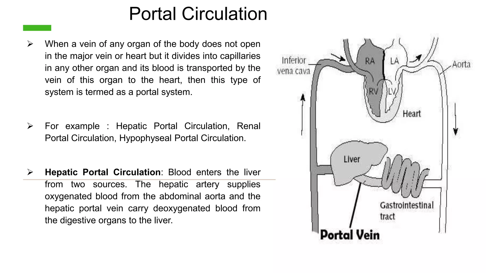 Circulation of blood | PPTX