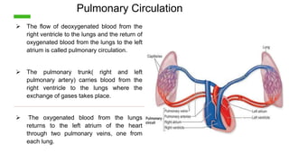 Circulation of blood | PPTX