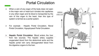 Circulation of blood | PPTX