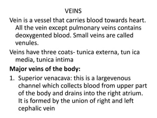 circulation of blood.pptx