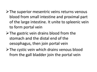 circulation of blood.pptx