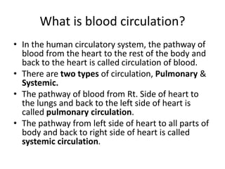 Circulation of Blood.pptx