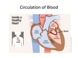 Circulation of Blood.pptx