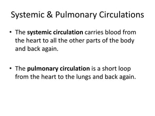 Circulation of Blood.pptx