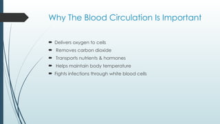 Circulation of Blood In Human Body .pptx