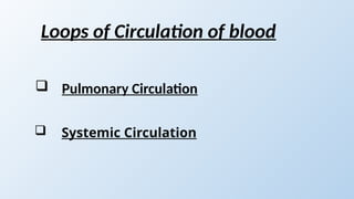 Circulation of Blood loops key components .pptx