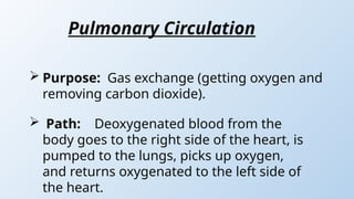 Circulation of Blood loops key components .pptx