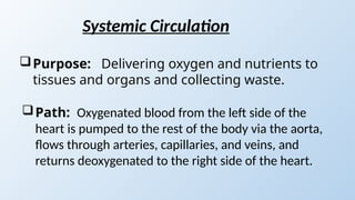 Circulation of Blood loops key components .pptx