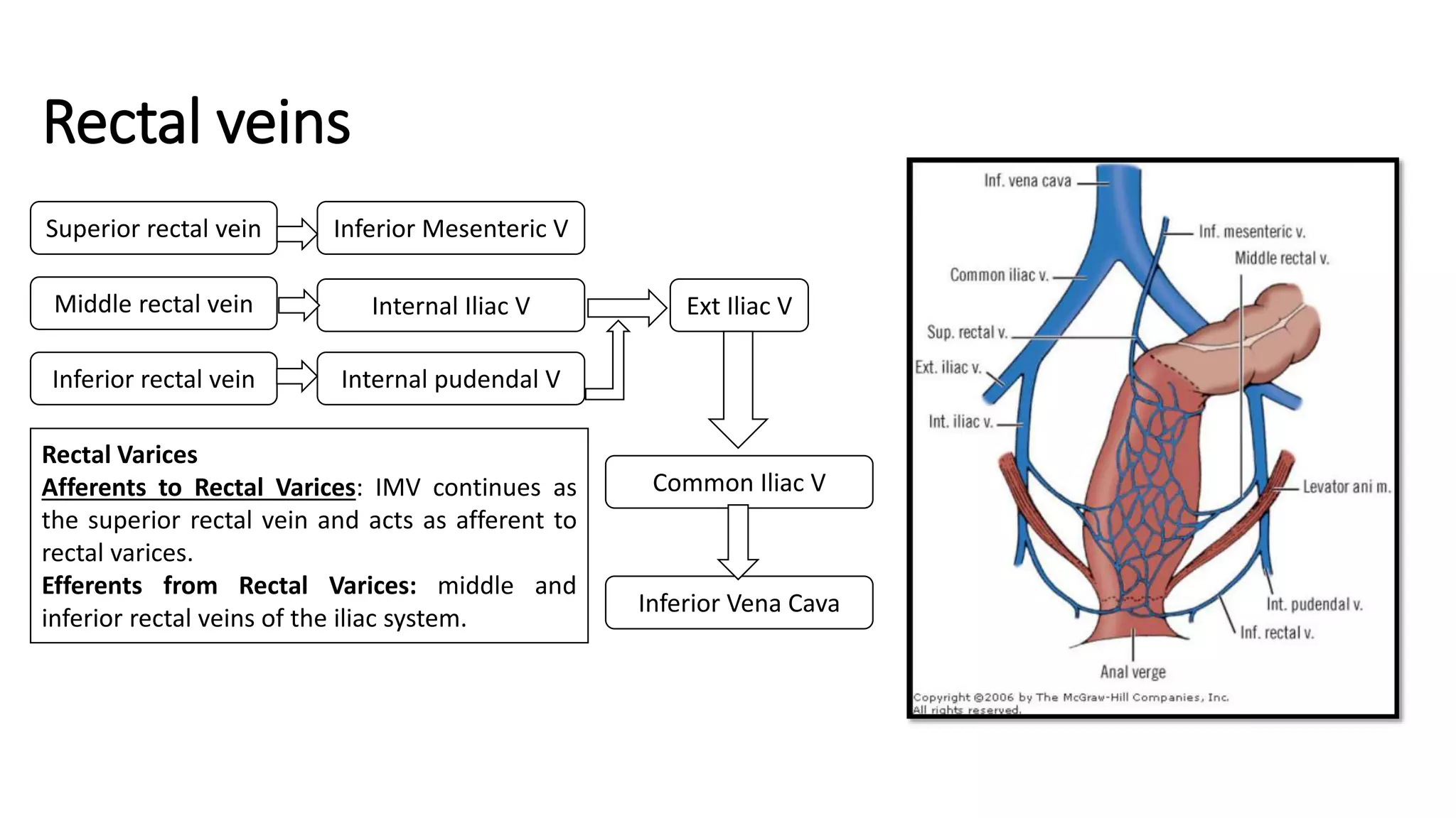 Circulation of liver & Portosystemic collaterals | PPTX