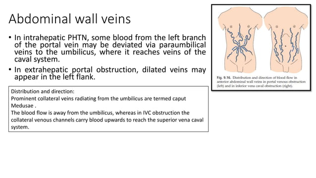 Circulation of liver & Portosystemic collaterals | PPTX | Blood ...