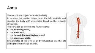 Circulation of liver & Portosystemic collaterals | PPTX