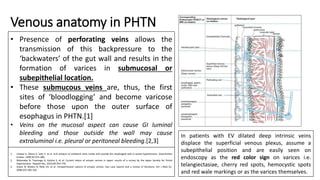 Circulation of liver & Portosystemic collaterals | PPTX