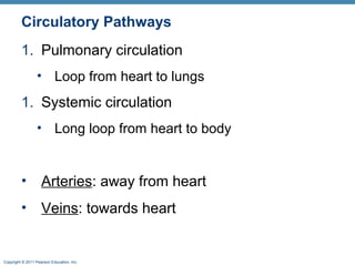 Circulation online | PPT
