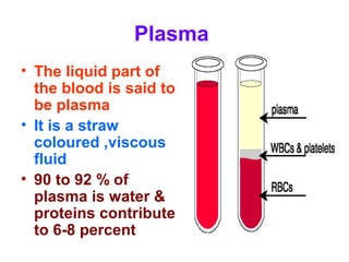 Circulation ppt | PPT