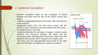 Circulation of blood in human body ppt.pptx