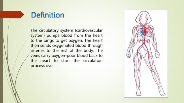 Circulation of blood in human body ppt.pptx