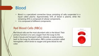 Circulation of blood in human body ppt.pptx