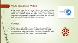 Circulation of blood in human body ppt.pptx
