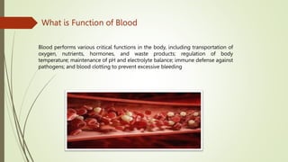 Circulation of blood in human body ppt.pptx