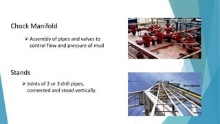 Circulation_System.pptx