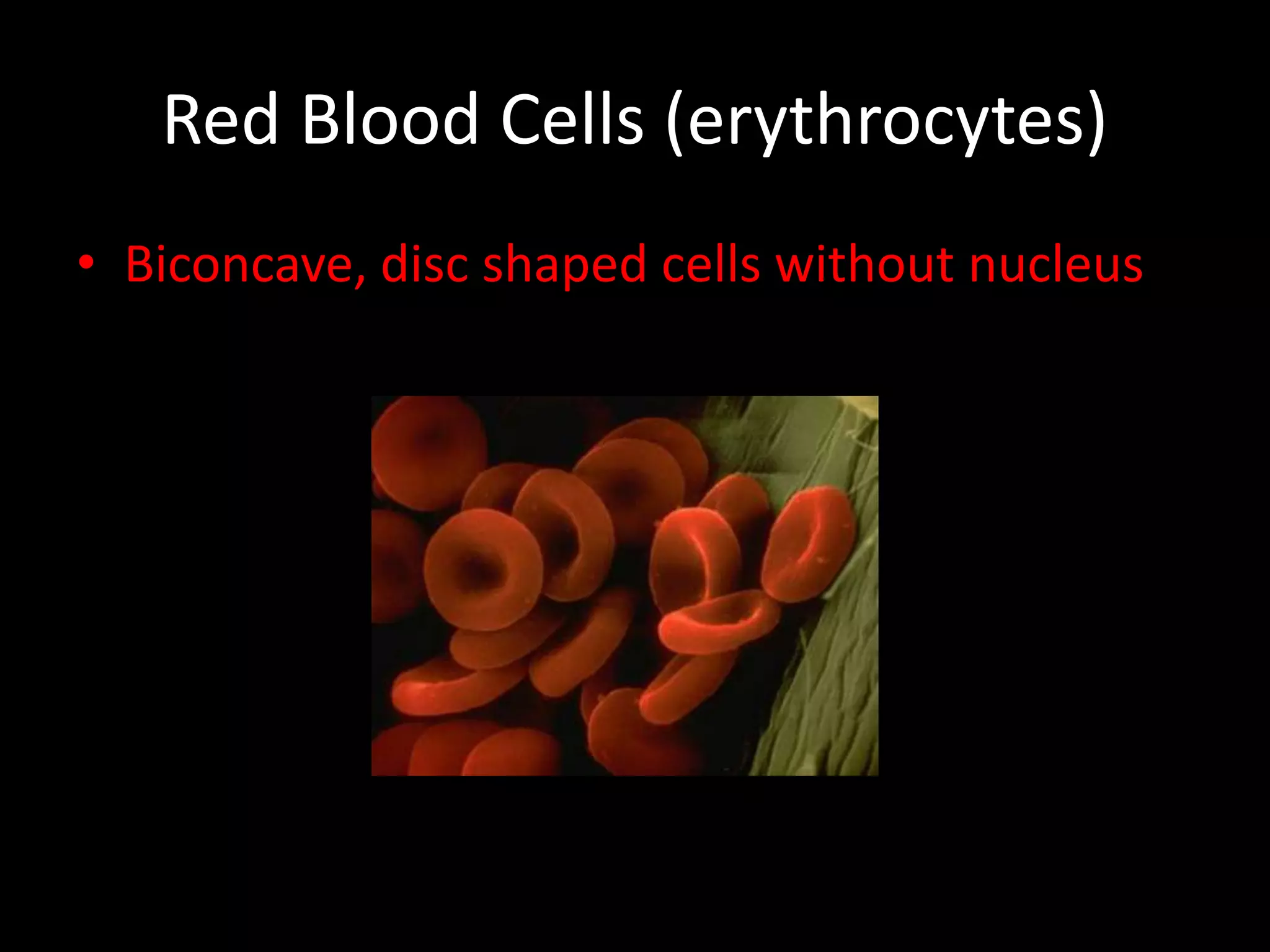 Circulation and Blood | PPTX