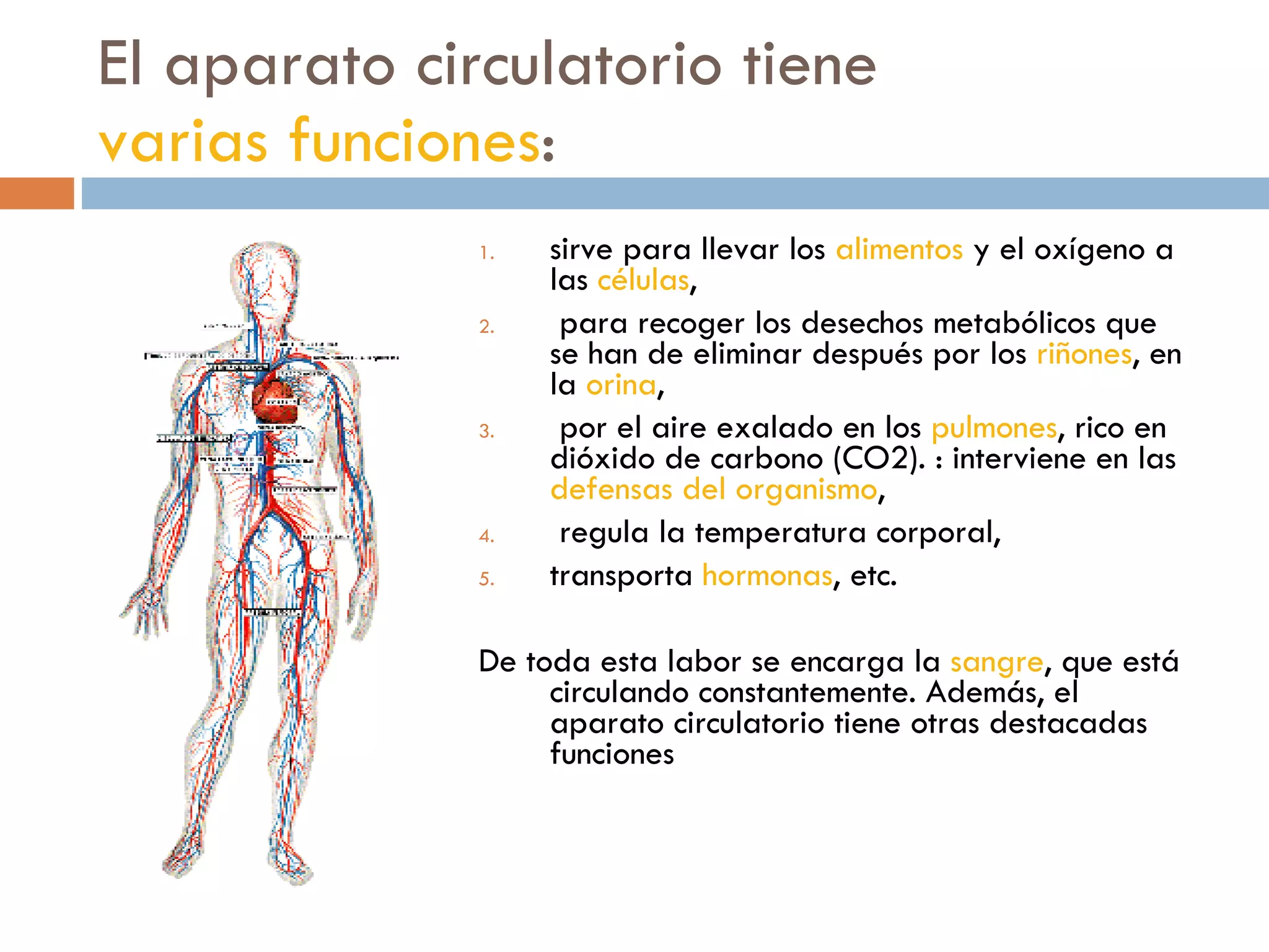 APARATO CIRCULATORIO | PPT