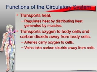 Circulatory | PPT