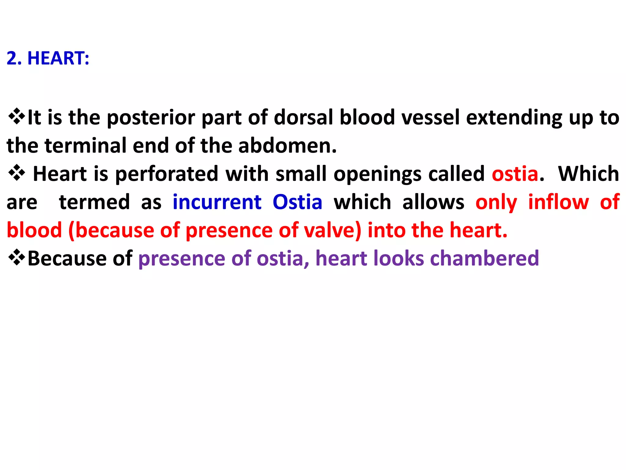 CIRCULATORY.pptx