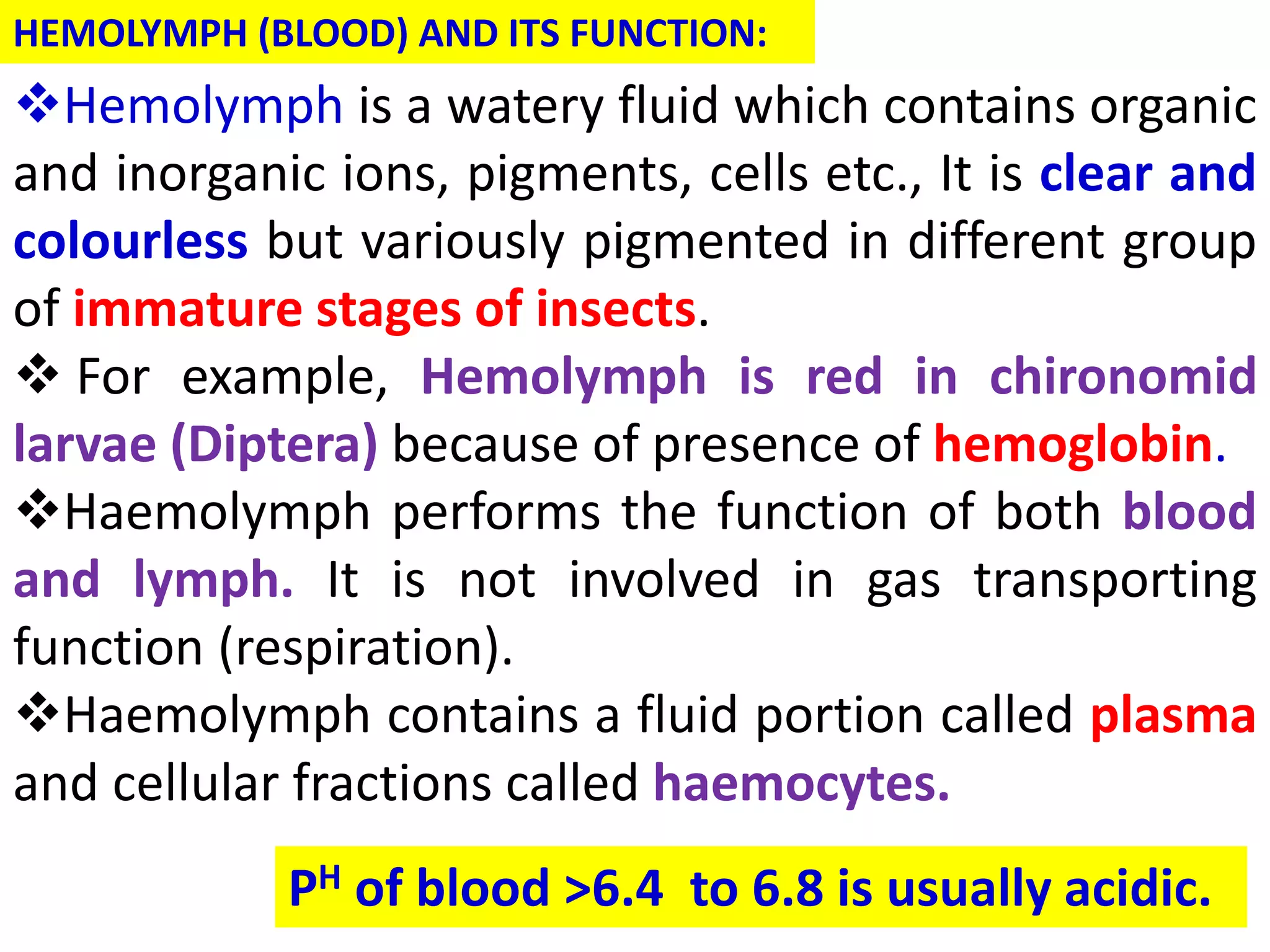 CIRCULATORY.pptx