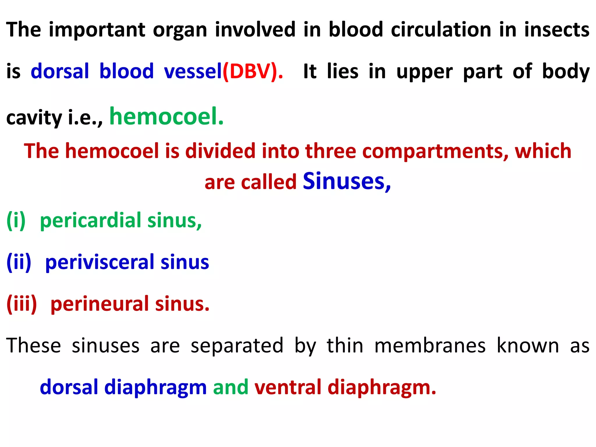 CIRCULATORY.pptx