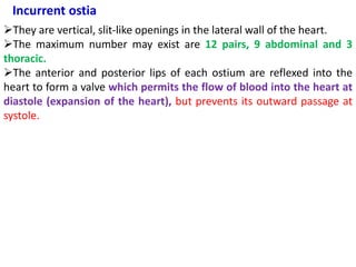 CIRCULATORY.pptx