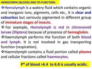 CIRCULATORY.pptx