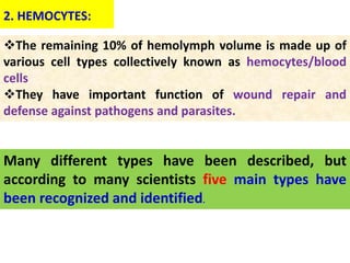 CIRCULATORY.pptx