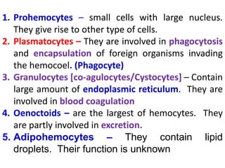 CIRCULATORY.pptx