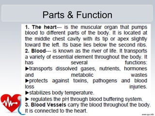 Circulatory System Parts and Functions.ppt