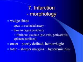 circulatory-disorders-shock (1).ppt