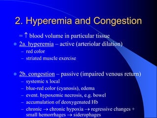 circulatory-disorders-shock (1).ppt