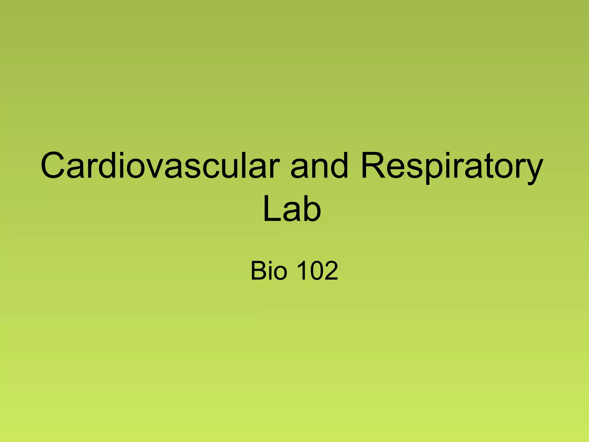 Circulatory Respiratory Lab | PPT