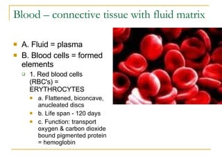 Cardiovascular System | PPT