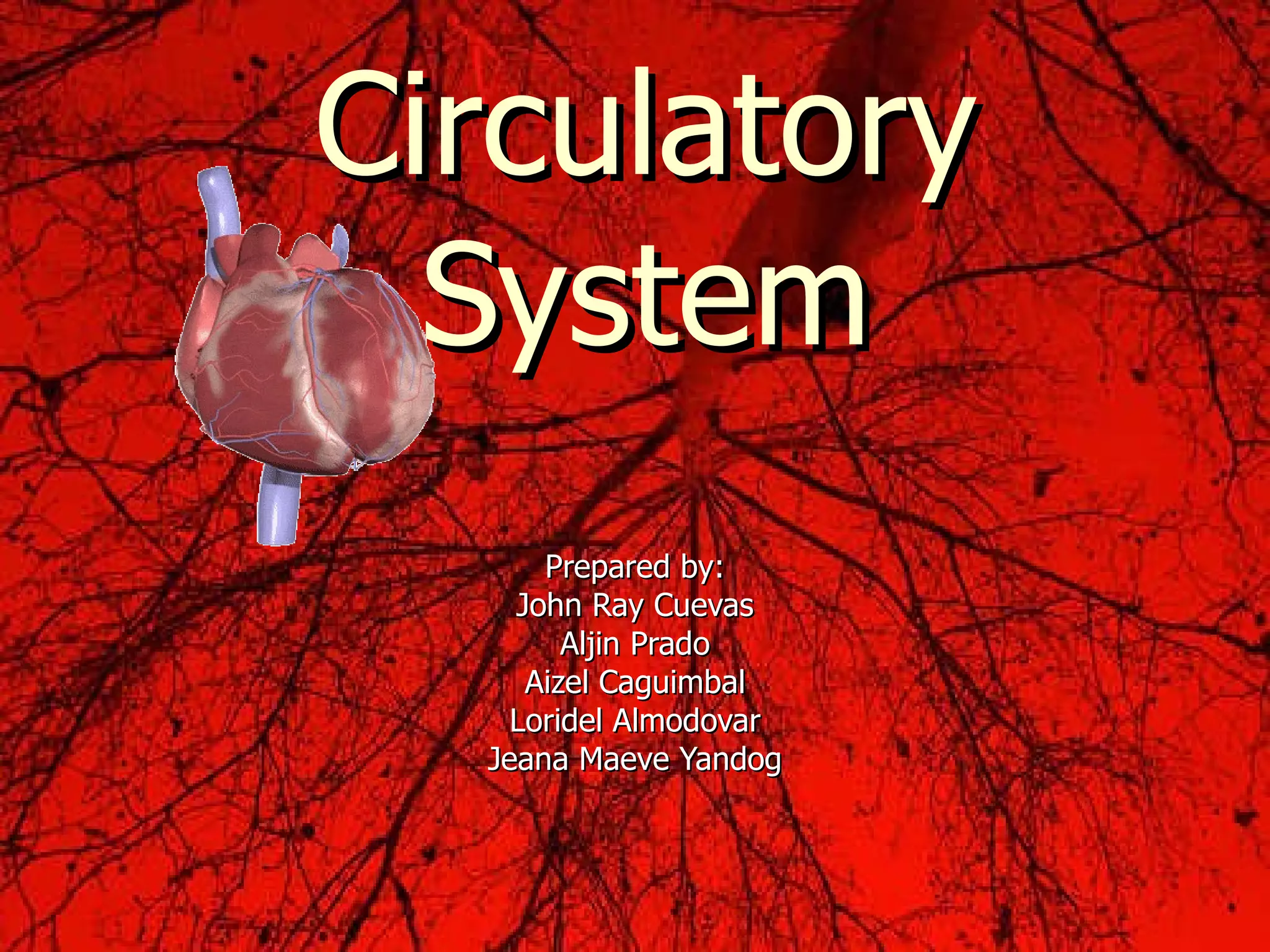 Circulatory System | PPT
