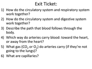 Circulatory system | PPT