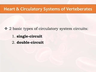 circulatory-system.pptx