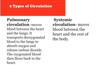 CIRCULATORY-SYSTEM.pptx