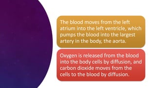 Circulatory-System-final.pdf grade 9o.o.o | PDF