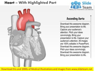 Circulatory system-heart medical images for power point | PDF