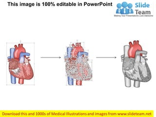 Circulatory system-heart medical images for power point | PDF