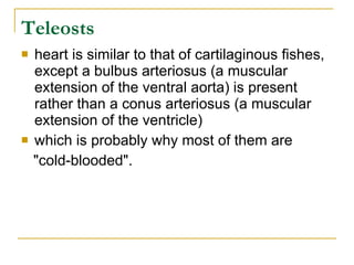 Circulatory System Of The Vertebrates | PPT